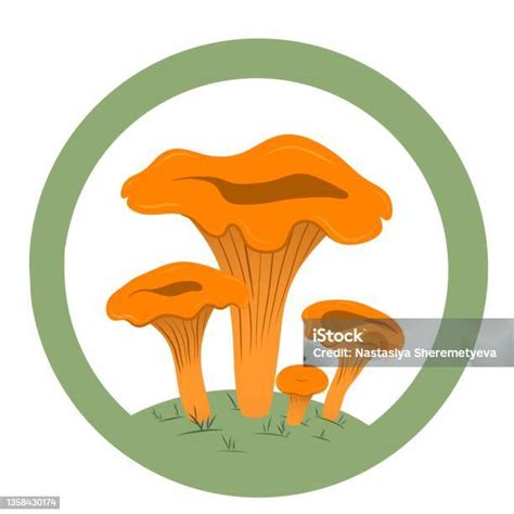버섯로고고 기하학적 배경에 숲 살구가 새겨진 간판 비건 상점 웹사이트 및 포장을 위한 텍스트 버섯이 있는 채소 라벨입니다 로고에 대한 스톡 벡터 아트 및 기타 이미지
