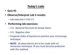 Lab 4 3 4 3 5 Pdf Today S Labs Quiz 1 Observe Interpret Lab 3 Results Lab Exercises 1