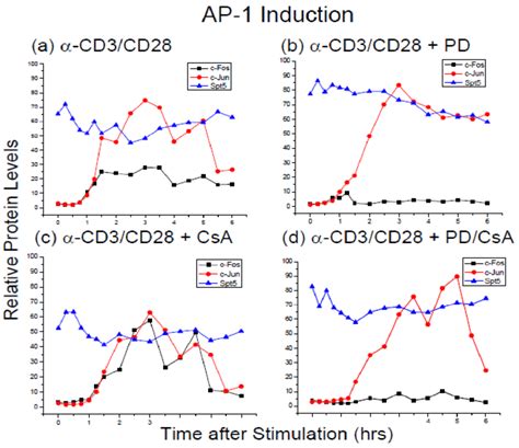 Nuclear Induction Kinetics Of Ap 1 Following Tcr Activation Download Scientific Diagram
