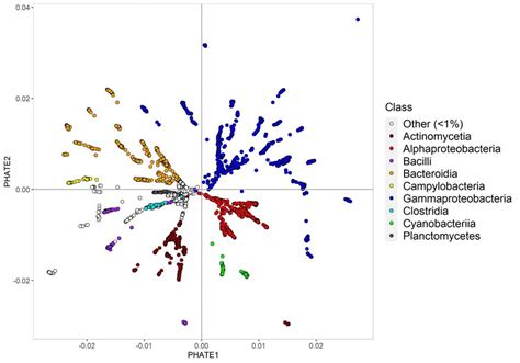 Two Dimensional Embedding Of Diffusion Variables Created Using The