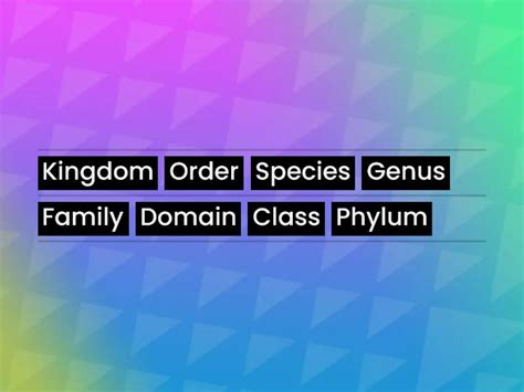 Levels Of Classification Ordering Unjumble