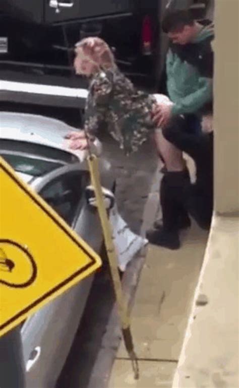 Anyone No Her Name And Video Reply NameThatPorn Com