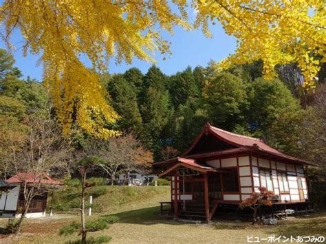 豊雲閣と大銀杏 安曇野の風景写真 ビューポイントあづみの