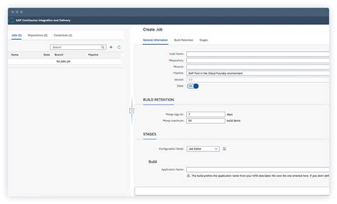 Sap Continuous Integration And Delivery