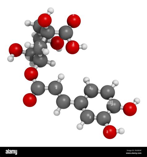 Neochlorogenic Acid Molecule 3d Rendering Atoms Are Represented As