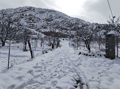 بارش برف در استان کرمان؛ امید تازه برای کشاورزانعکس ایسنا