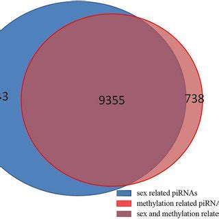 Venn Diagram Analysis Between 14 088 Sex Related And 10 093 Download Scientific Diagram