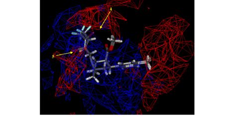 Isosurface Of The 3d Qsar Model Coefficients On Electrostatic Potential Download Scientific