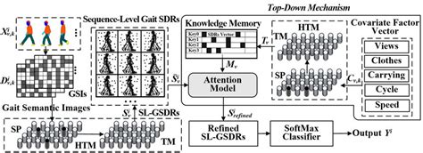 framework of the sequence learning network download scientific diagram
