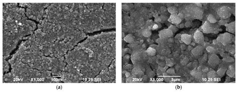 Biosensors Free Full Text Synthesis And Characterization Of TiO2 Thick Films For Glucose Sensing