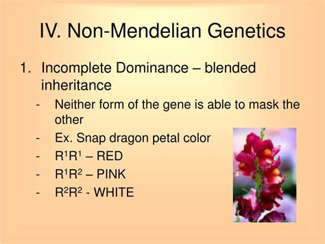 PPT Non Mendelian Genetics PowerPoint Presentation Free Download ID 5332600