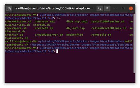 Instalando O Oracle 19c Em Um Container Docker