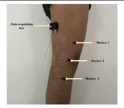 Figure 1 From Prediction Of Knee Trajectory Based On Surface Electromyogram With Independent