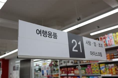 해외 여행 짐싸기 다이소 여행용품 네이버 블로그