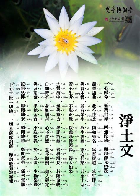 梵音海潮音净土文 搜狐大视野 搜狐新闻