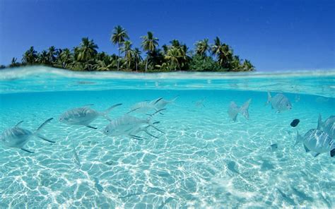 Ocean Pc Wallpapers Top Free Ocean Pc Backgrounds Wallpaperaccess