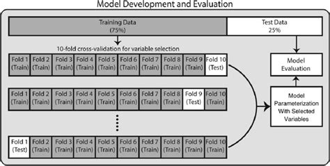 Model Development And Validation Strategies Data From University Of Download Scientific