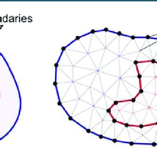 Schematic Representation Of A Finite Element Method FEM Model Download Scientific Diagram
