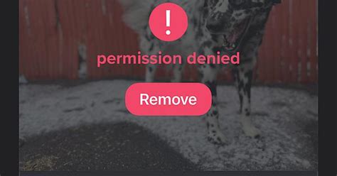 Why Am I Denied I Dont Understand Why My Posts Are Being Denied