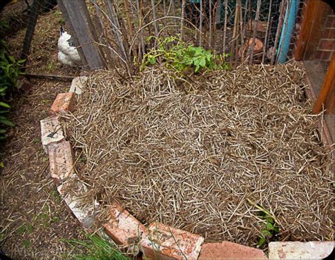 Soil Structure Health Village Dreaming Farm And Orto Cooking Babe