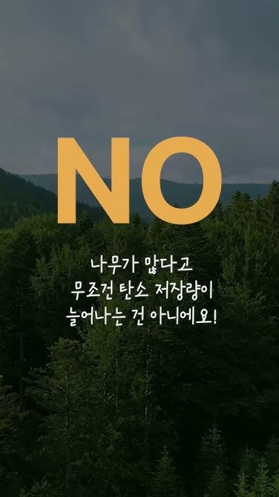 나무가 많으면 탄소 저장량이 늘어날까 프롬숲 숲 산림 제로웨이스트 친환경 Youtube