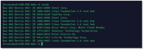 Usb Redirection With The Citrix Workspace App For Linux