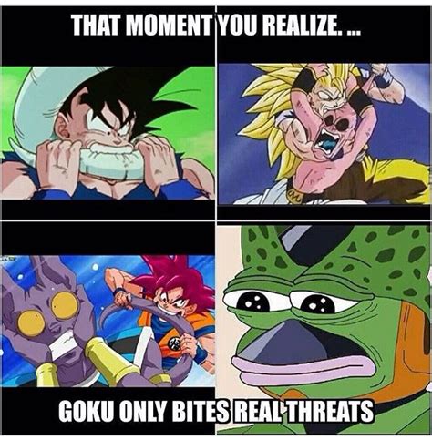593 Best Dragon Ball Z Images On Pinterest Dbz Memes Dragons And