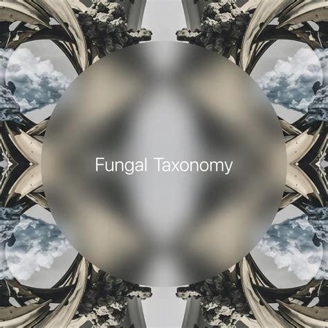 Fungal Taxonomy → Term