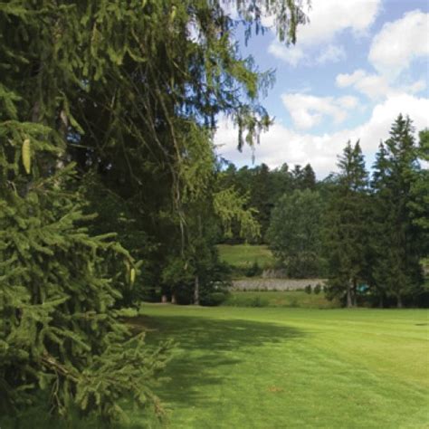 Chewings Fescue Grass Species Guide Watson Seeds