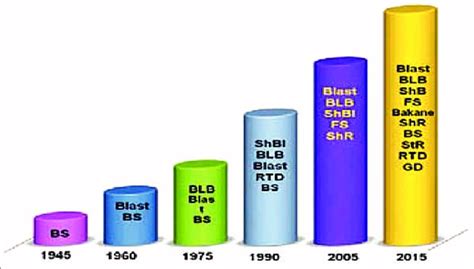 Disease Scenario In Rice Download Scientific Diagram