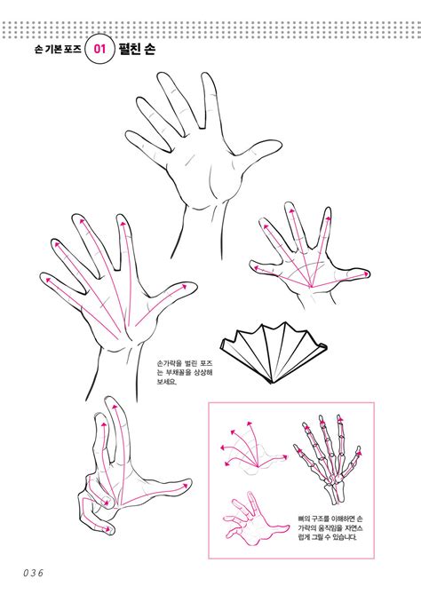 알라딘 미리보기 손과 발 그리는 법