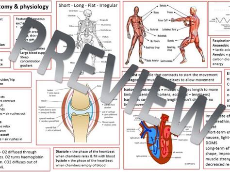 Gcse Pe Knowledge Organisers Teaching Resources
