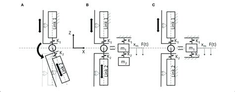 sketch of the working principle of the variable stiffness joint