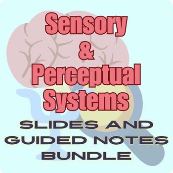 Psychology Complete Unit Lecture Notes Bundle Sensory And Perceptual Systems