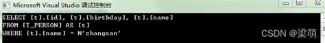 Efcore 7 查看efcore转换后的sql语句ef 获取执行后的sql Csdn博客