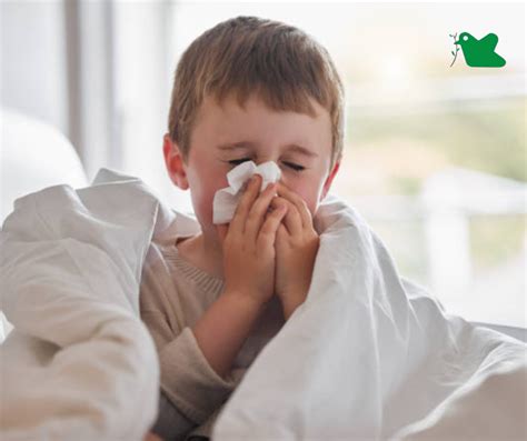 Những Câu Hỏi Thường Gặp Khi Bé Bị Ho Sổ Mũi Tiến Sĩ Bác Sĩ Hương