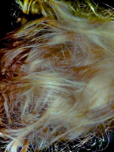 Messed With The Pic Of Kris Let Me Know If This Is Useless Or If Theres More To Distinguish