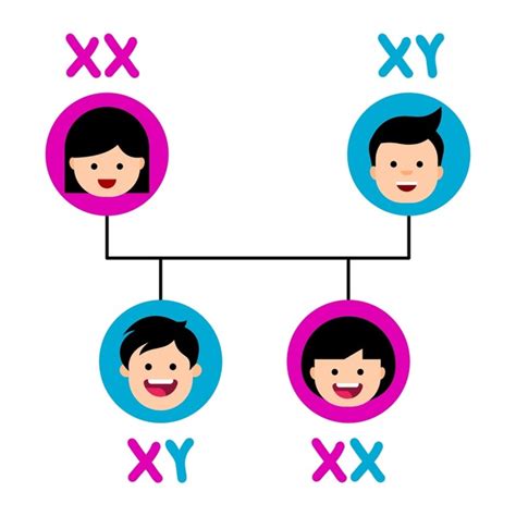 Brother Sister Mom Sex Royalty Free Images Stock Photos Pictures Shutterstock