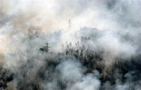 Жителей пригородов Читы начали эвакуировать из за лесных пожаров