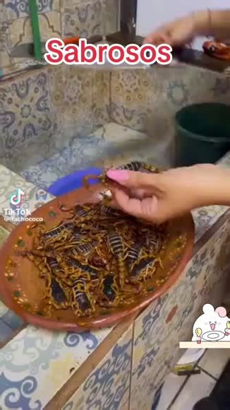 Protoarc K100 A Backlit Bluetooth Keyboard For Mac 400 Requests Flip App