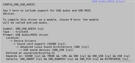 arm linux alsa驱动使用 usb 声卡 源码巴士