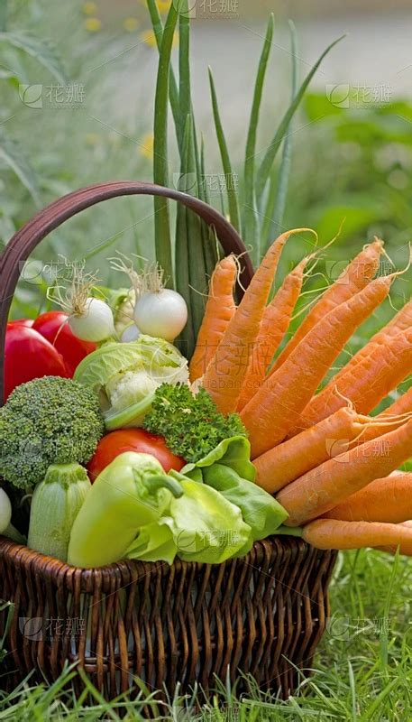 篮子 蔬菜 有机食品 垂直画幅 胡瓜 胡萝卜 素食 无人 椒类食物 生食素材 花瓣网