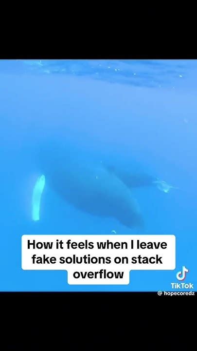 fake stackoverflow answers coding programming softwaredeveloper