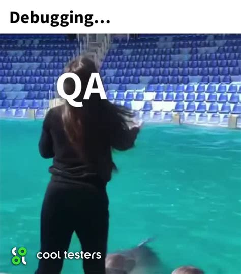 cool testers english software testing and qa on linkedin 😅