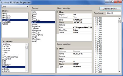 Object Oriented Access To Sas Data In A Custom Task The Sas Dummy