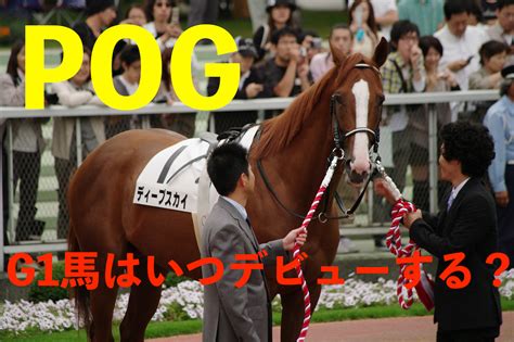 【pog】早期デビューは本当に有利？g1馬のデビュー時期を調べてみた ライターガルのお金を賭けずに楽しむ競馬ブログ