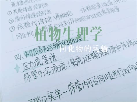 植物生理学笔记分享4 同化物的运输 哔哩哔哩
