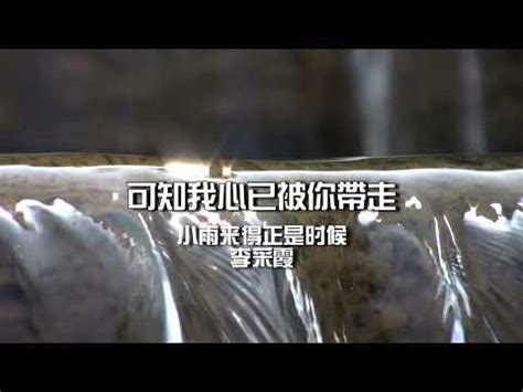 李彩霞 小雨来得正是时候Original Karaoke YouTube