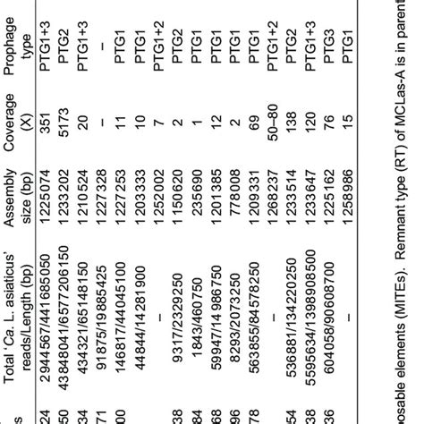 The Typical Structure Of A Miniature Inverted Repeat Transposable Download Scientific Diagram