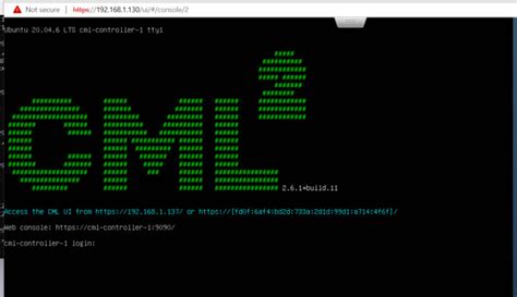 Cannot Access Cml 2 6 Via Its Management Interface After Power Up